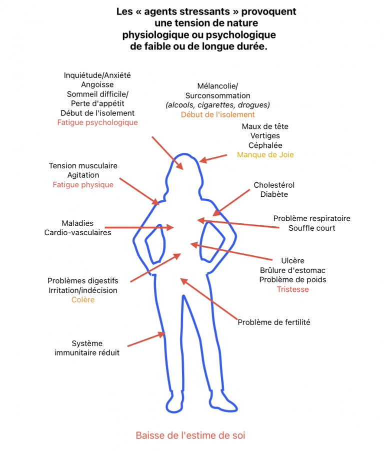 LE STRESS, LA MALADIE DU XXIème SIÈCLE ! - Arthele